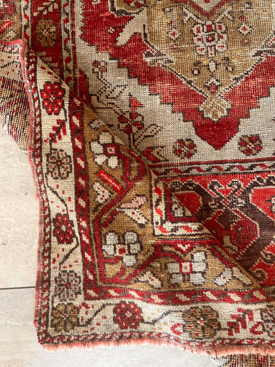 The Rug Collection – Collectible Brooks